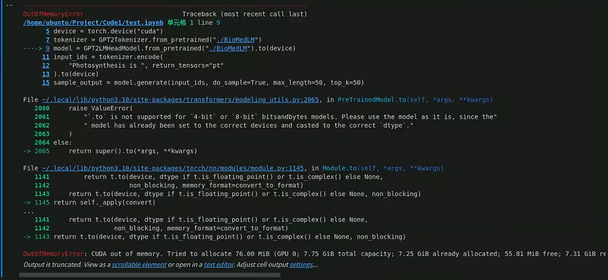 BioMedLM 2.7B部署与测试 | Catmint